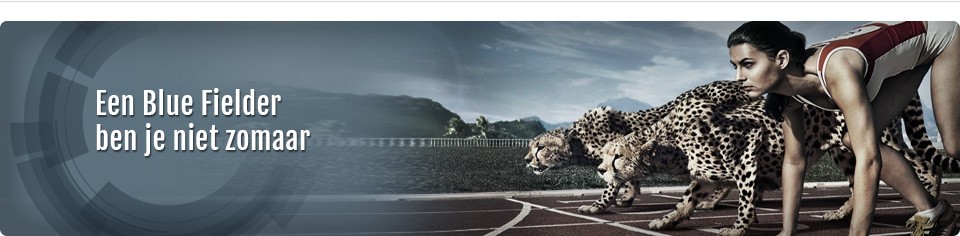 Het alles-in-één werkproces dat deze detacheerder helpt groeien (Blue ...