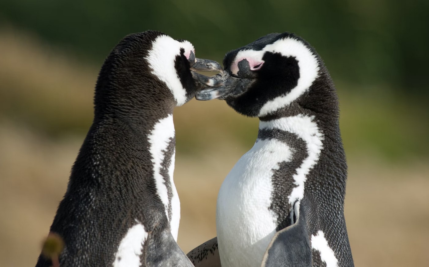 8 lessen om in de buurt te komen van de perfecte match - Werf&