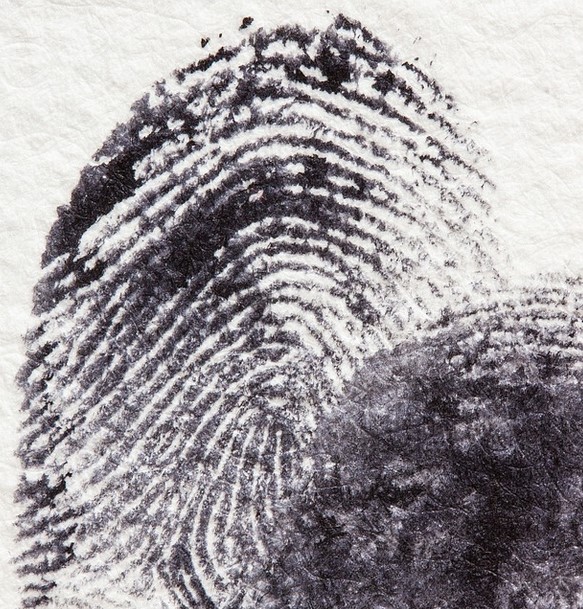 Wim op woensdag: Hoe de Nobelen-score ruis bij sollicitaties kan ...