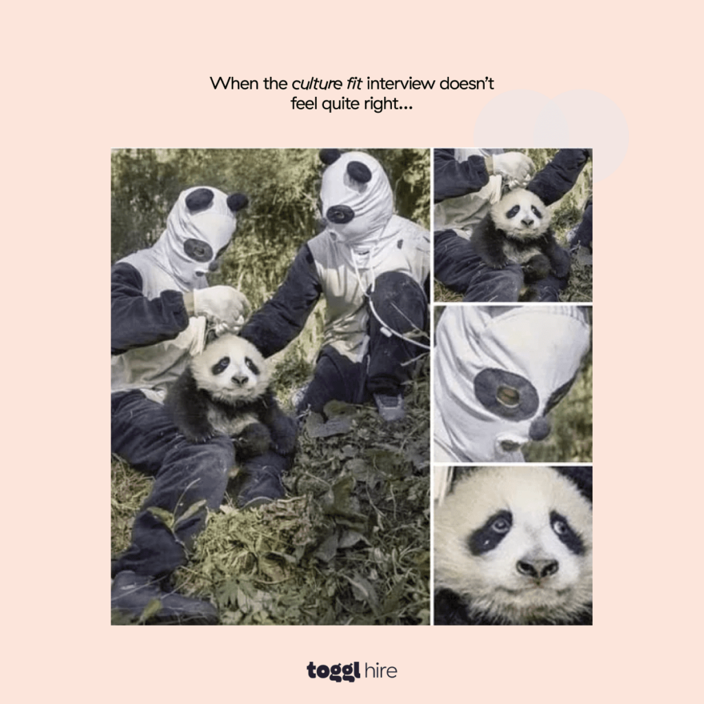 Het jaar 2022 in recruitment, samengevat in de grappigste memes en gifjes - Werf&