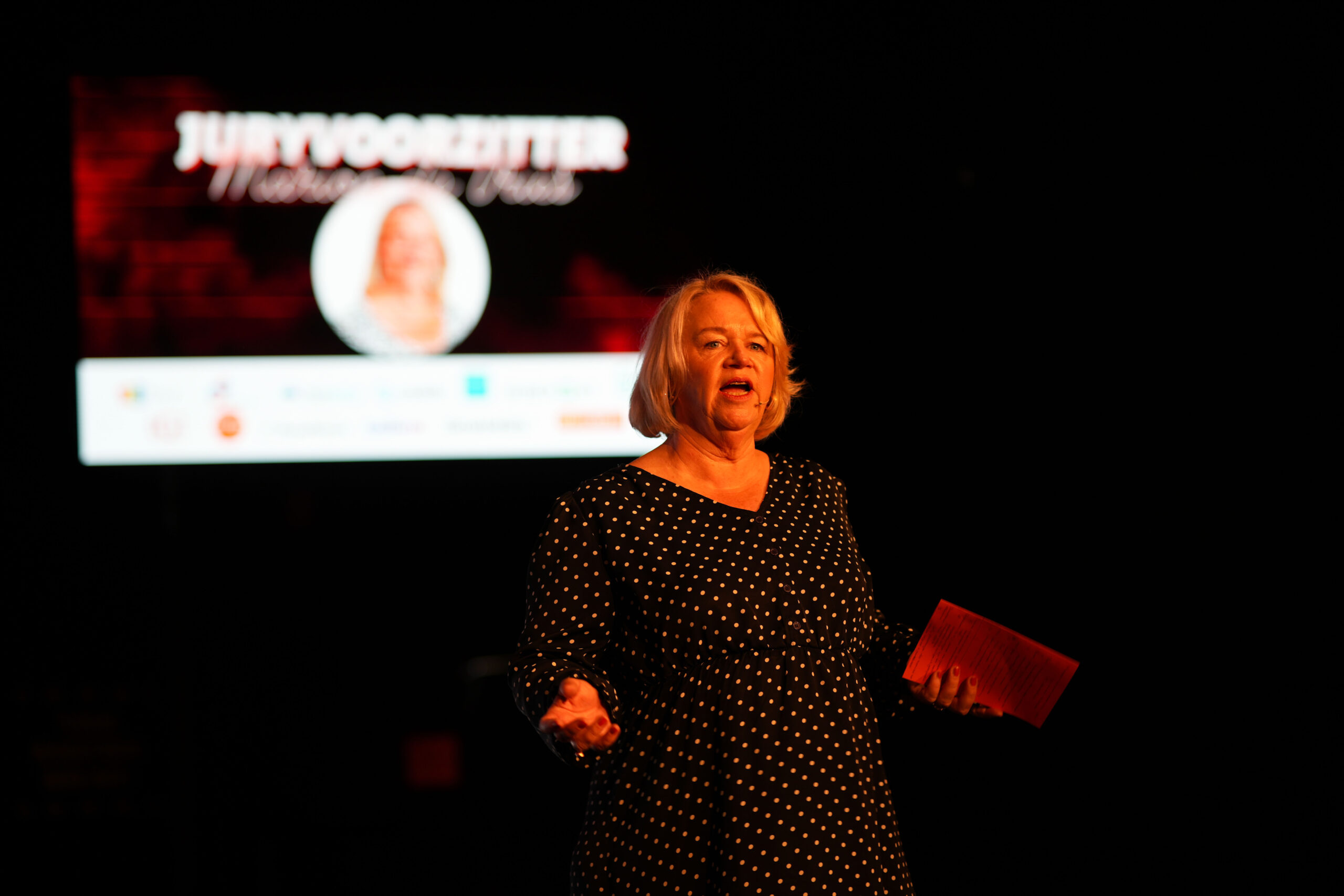 Marion de Vries (Werf& Awards): 'Goed om te weten waar de hobbel van de ...